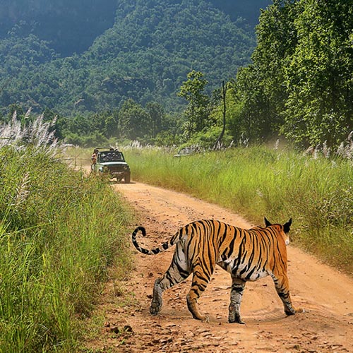 Tour Packages Baghelkhand Tourism Madhya Pradesh